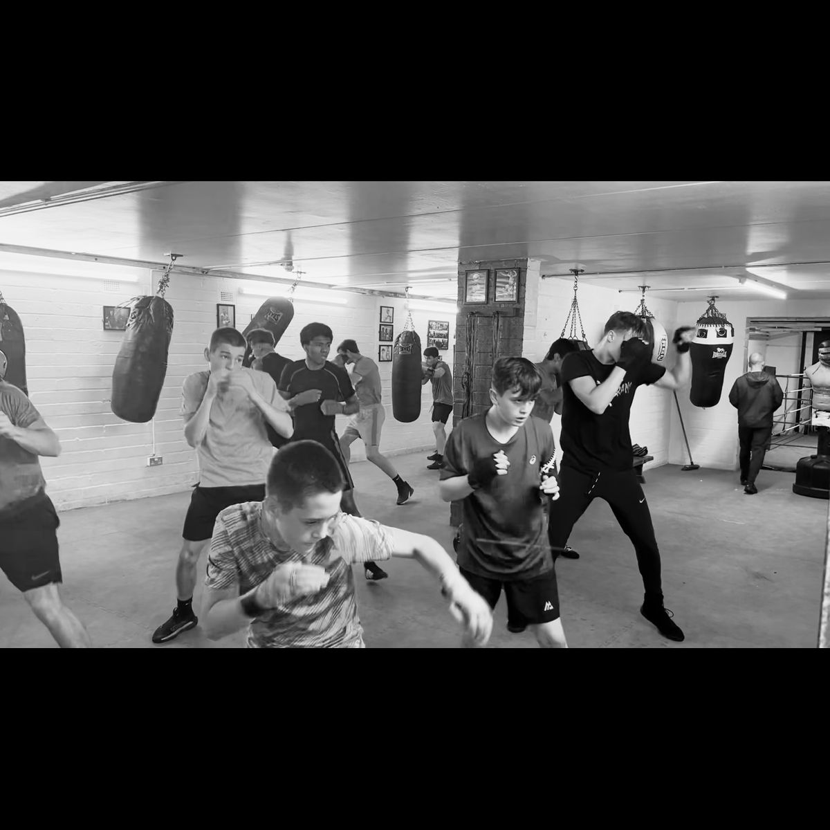 Chapter 2 - The Beginning